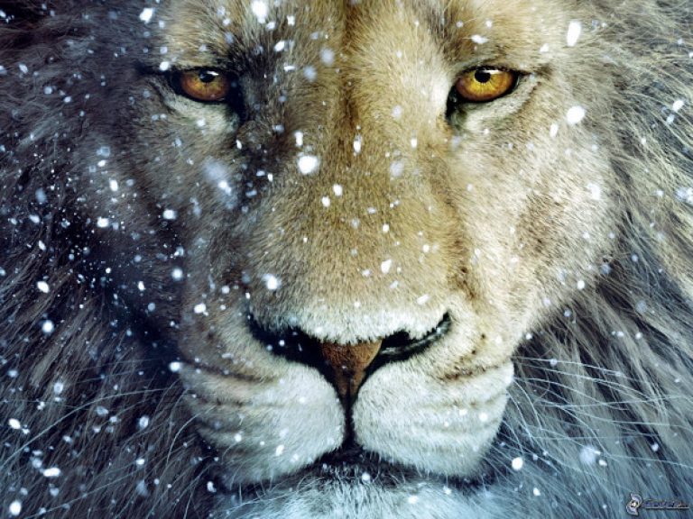 Narni e le Terre di Narnia | Bella Umbria